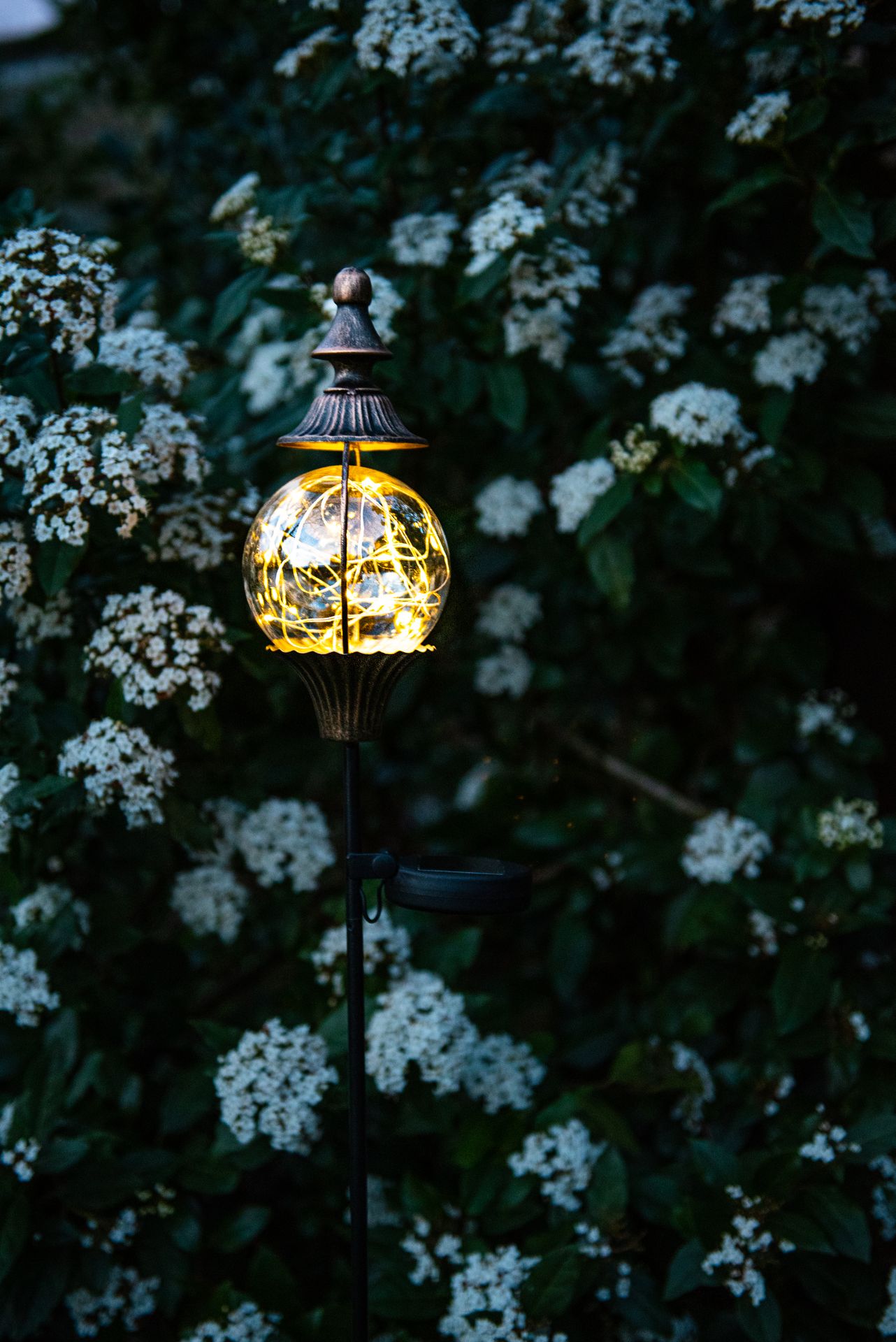 Aesthetic solar light for the garden | Garden ID