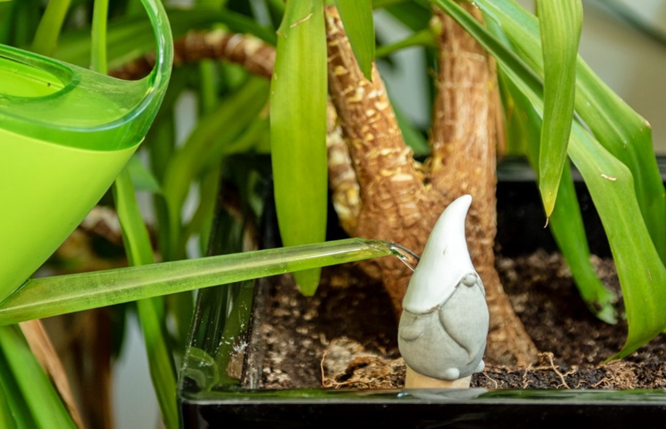 Water diffusers for potted plants: elegance and efficiency